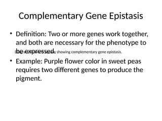 Epistasis_Presentation_Mevis_Sultana_with_Diagrams.pptx
