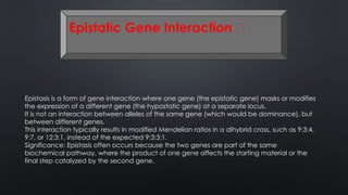 Epistatic Gene interaction.presentation,pbg | PPTX