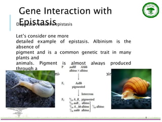 Epistatsis.pptx