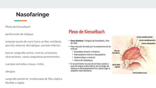Epistaxis | PPT