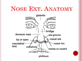Epistaxis | PDF