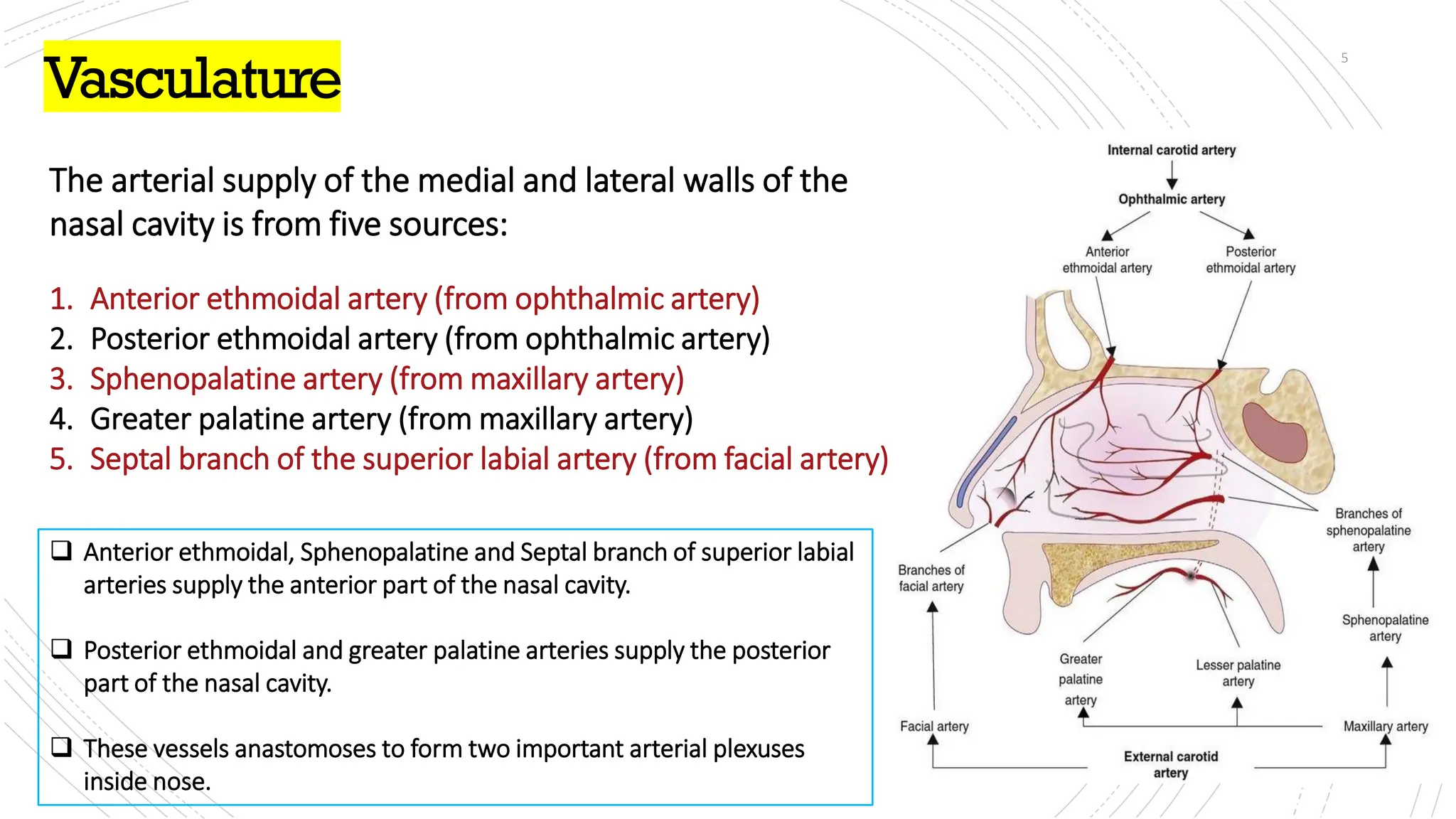 Everything about Epistaxis (nasal bleeding) .pdf