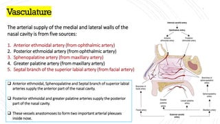 Everything about Epistaxis (nasal bleeding) .pdf