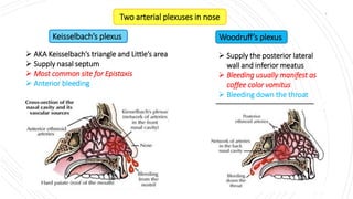 Everything about Epistaxis (nasal bleeding) .pdf