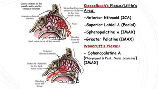 Everything about Epistaxis (nasal bleeding) .pdf