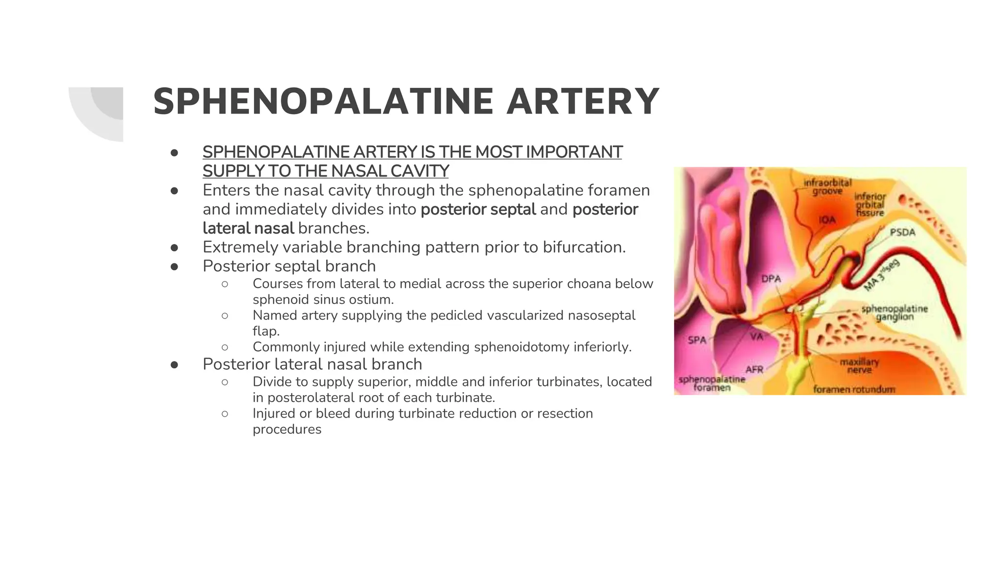 Epistaxis with examination and management of epsisatxis | PPTX