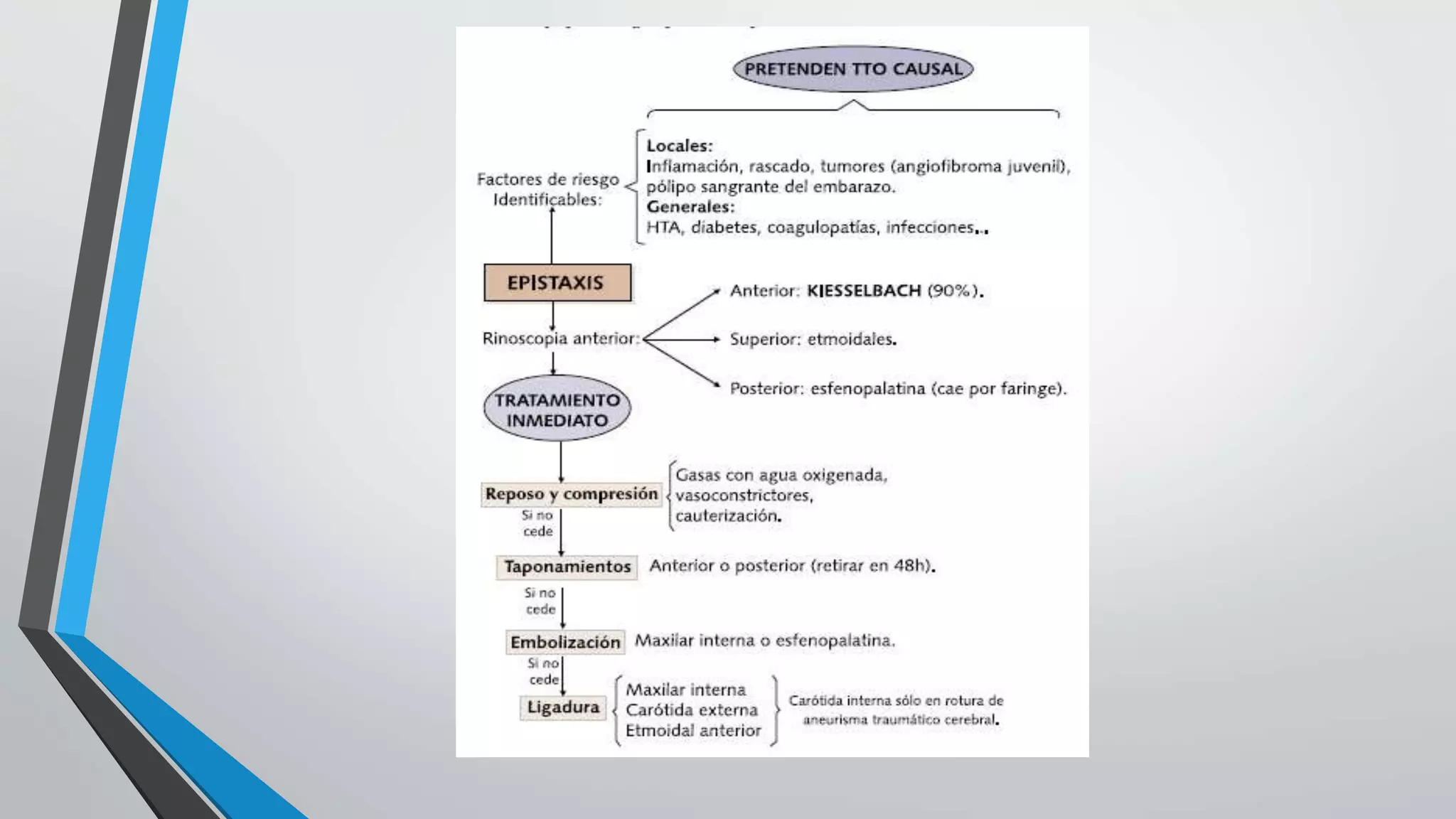 Epistaxis Sangrado Nasal Dr Omar Gonzales Suazo Ppt
