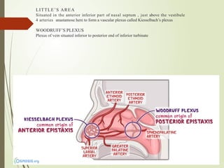 Epistaxis- etiology, symptoms, management .pptx