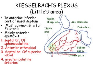 Epistaxis ashly | PPTX