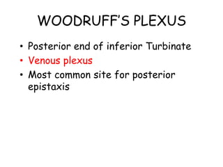 Epistaxis ashly | PPTX