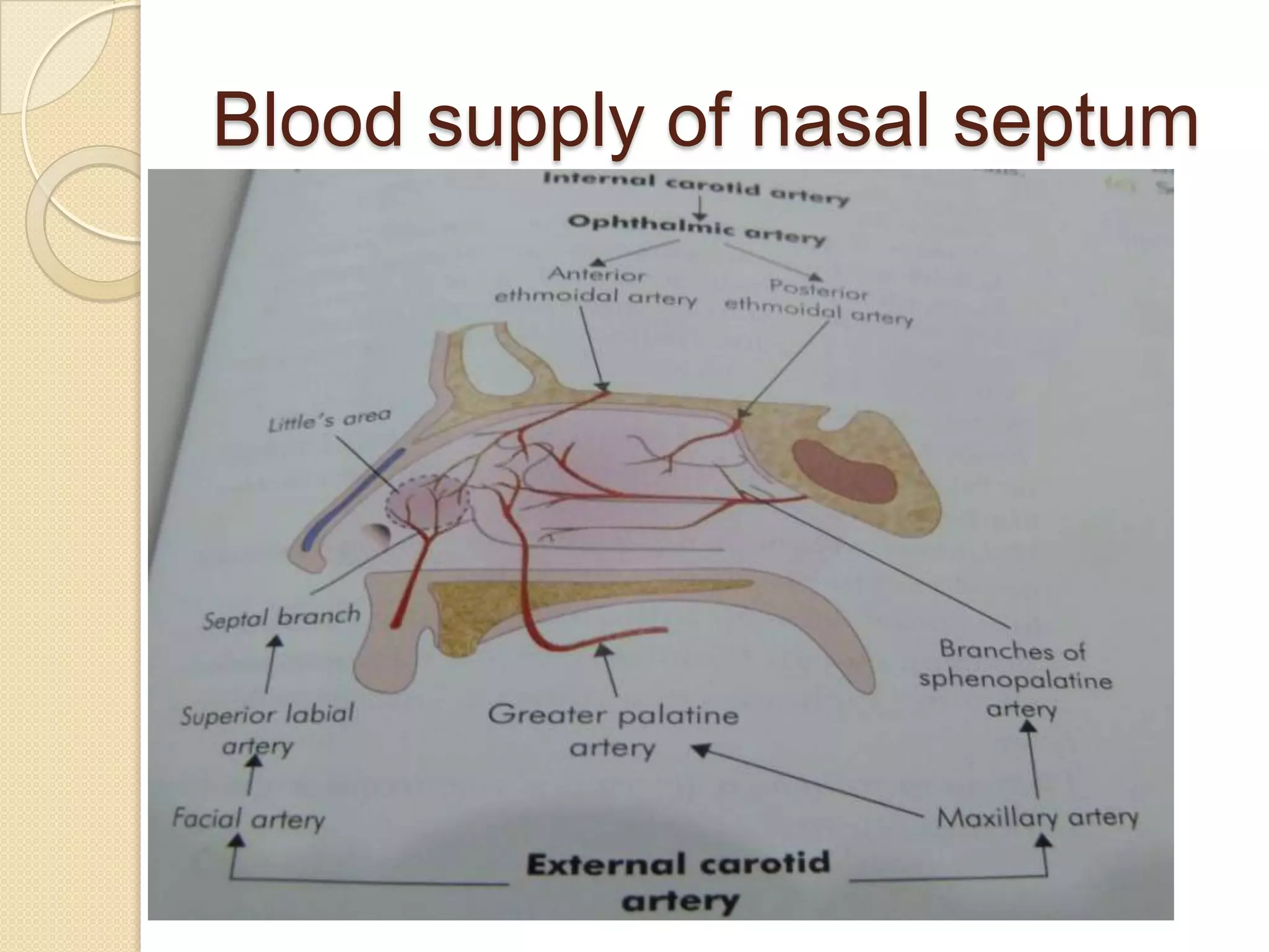 Epistaxis ent | PPTX