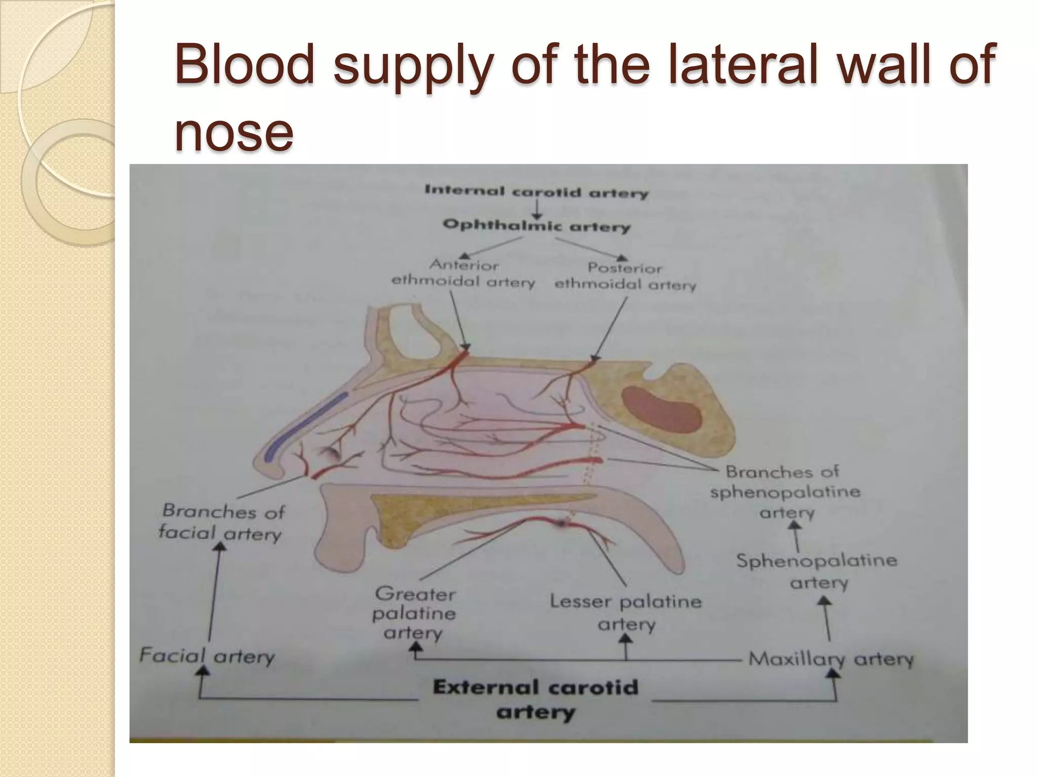 Epistaxis ent | PPTX