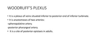 EPISTAXIS ppt | PPTX