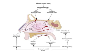EPISTAXIS ppt | PPT
