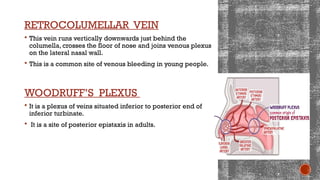 Epistaxis (Varshini V).pptx nose anatomy | PPTX