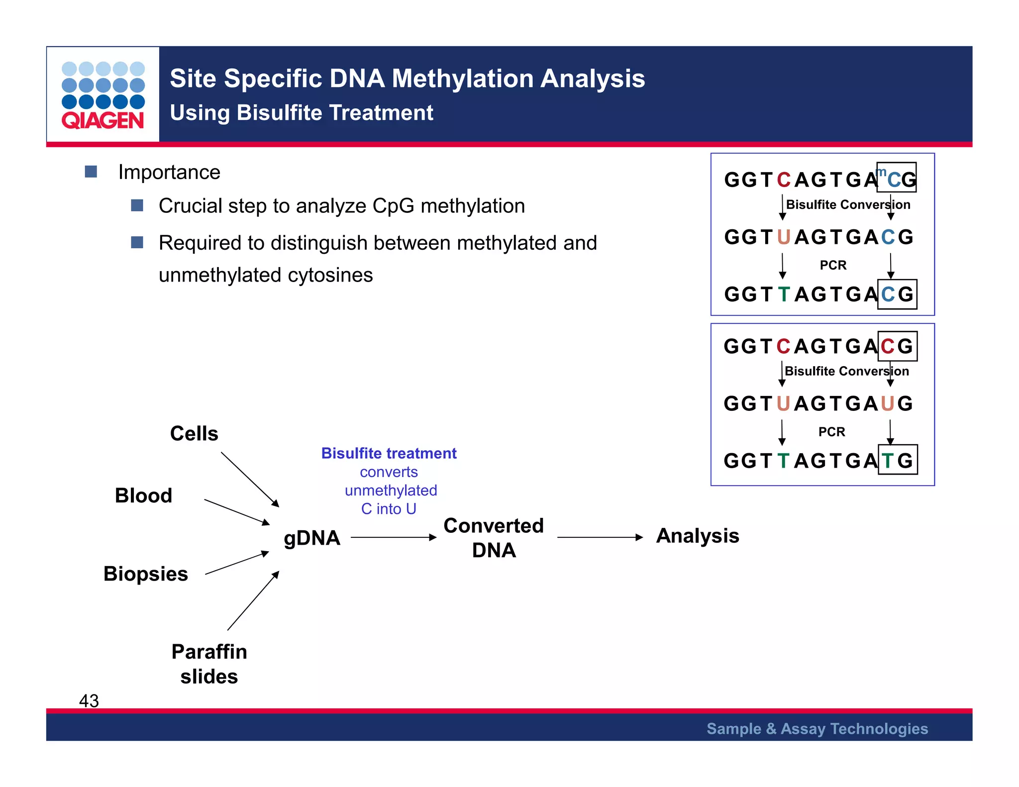 Epi tect methylation qpcr arrays 2013 | PPT