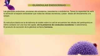 Tejido Epitelial | PPTX