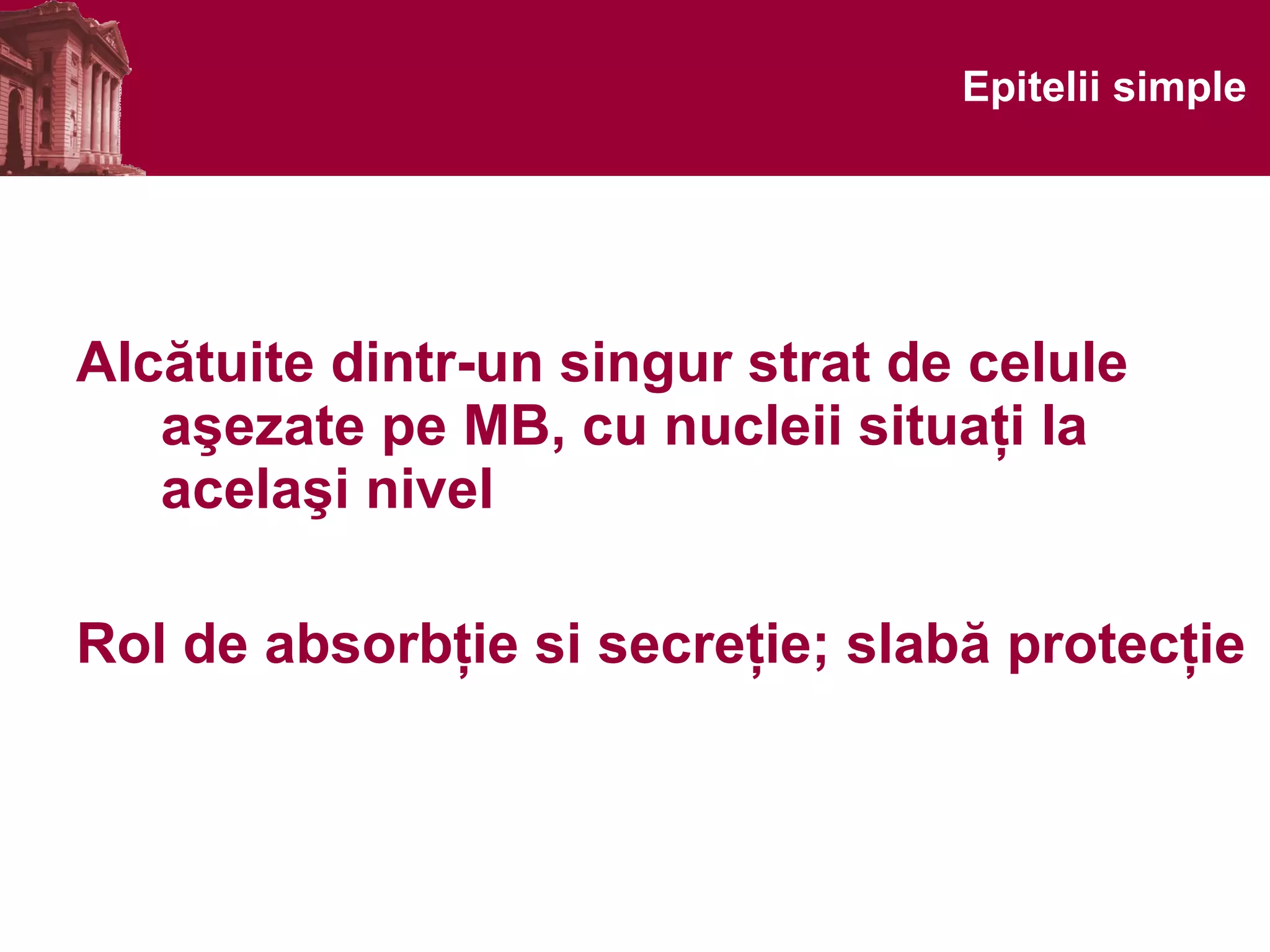 Epitelial 1 | PPT