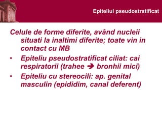 Epitelial 1 | PPT