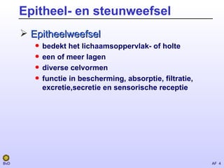 Epitheel | PPT