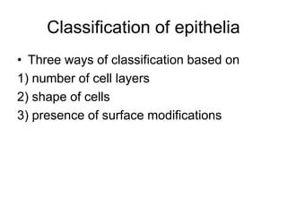 Epithelia and glands.ppt