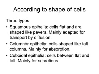Epithelia and glands.ppt