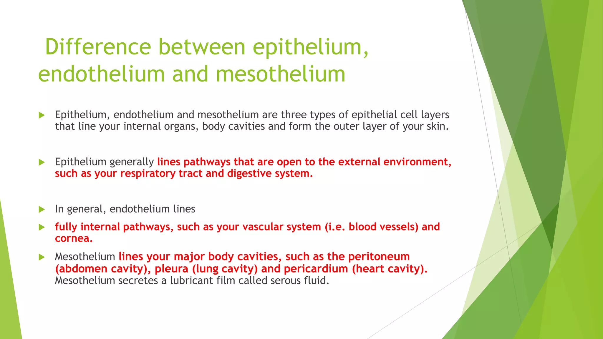 Epithelial. by Dr Sami | PPTX