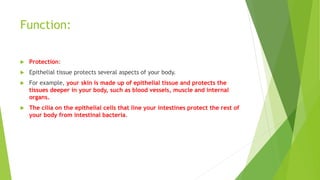 Epithelial. by Dr Sami | PPT