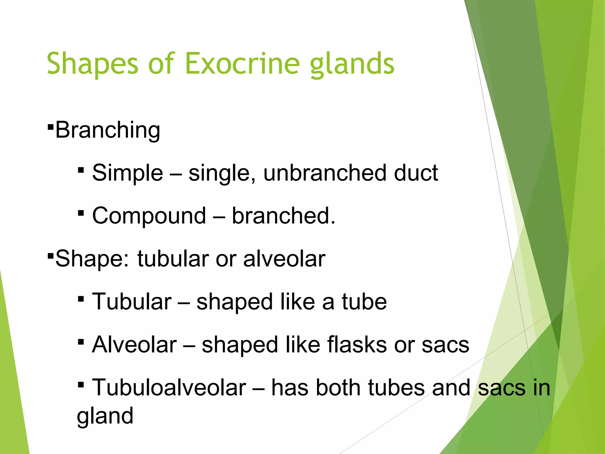TISSUES OF BODY (EPITHELIUM, CONNECTIVE) | PPT