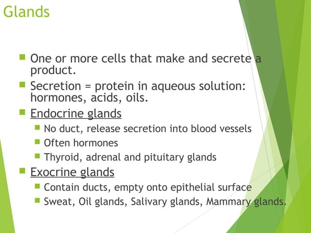 TISSUES OF BODY (EPITHELIUM, CONNECTIVE) | PPT