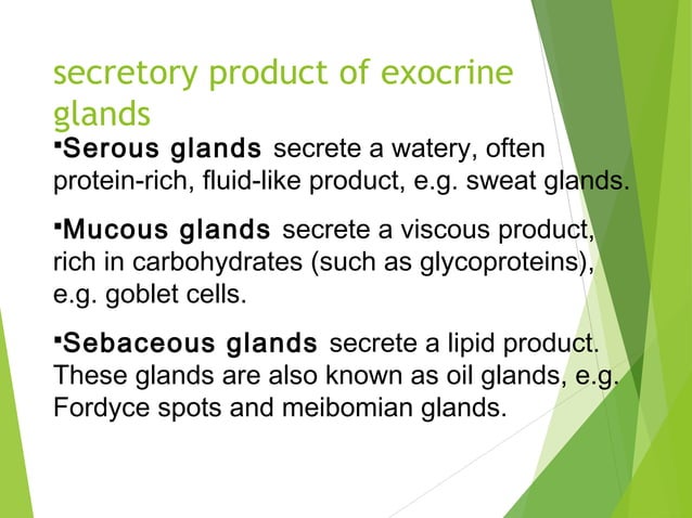 TISSUES OF BODY (EPITHELIUM, CONNECTIVE) | PPT