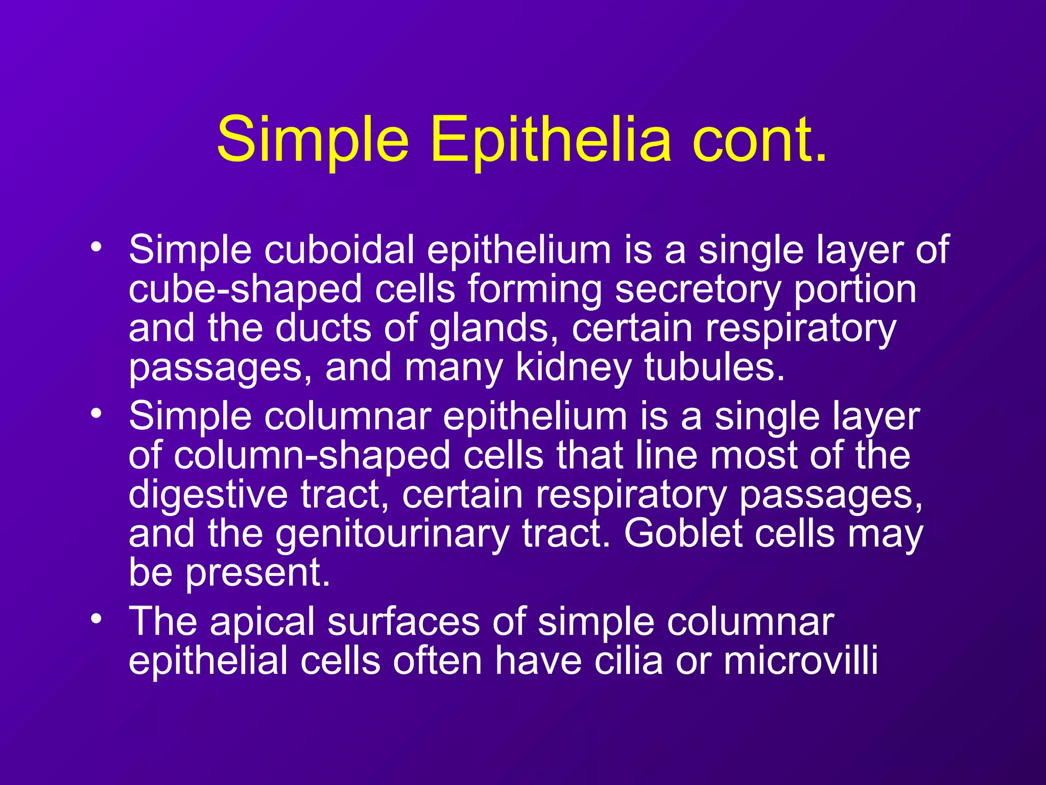 Epithelial tissue (2011) | PPT