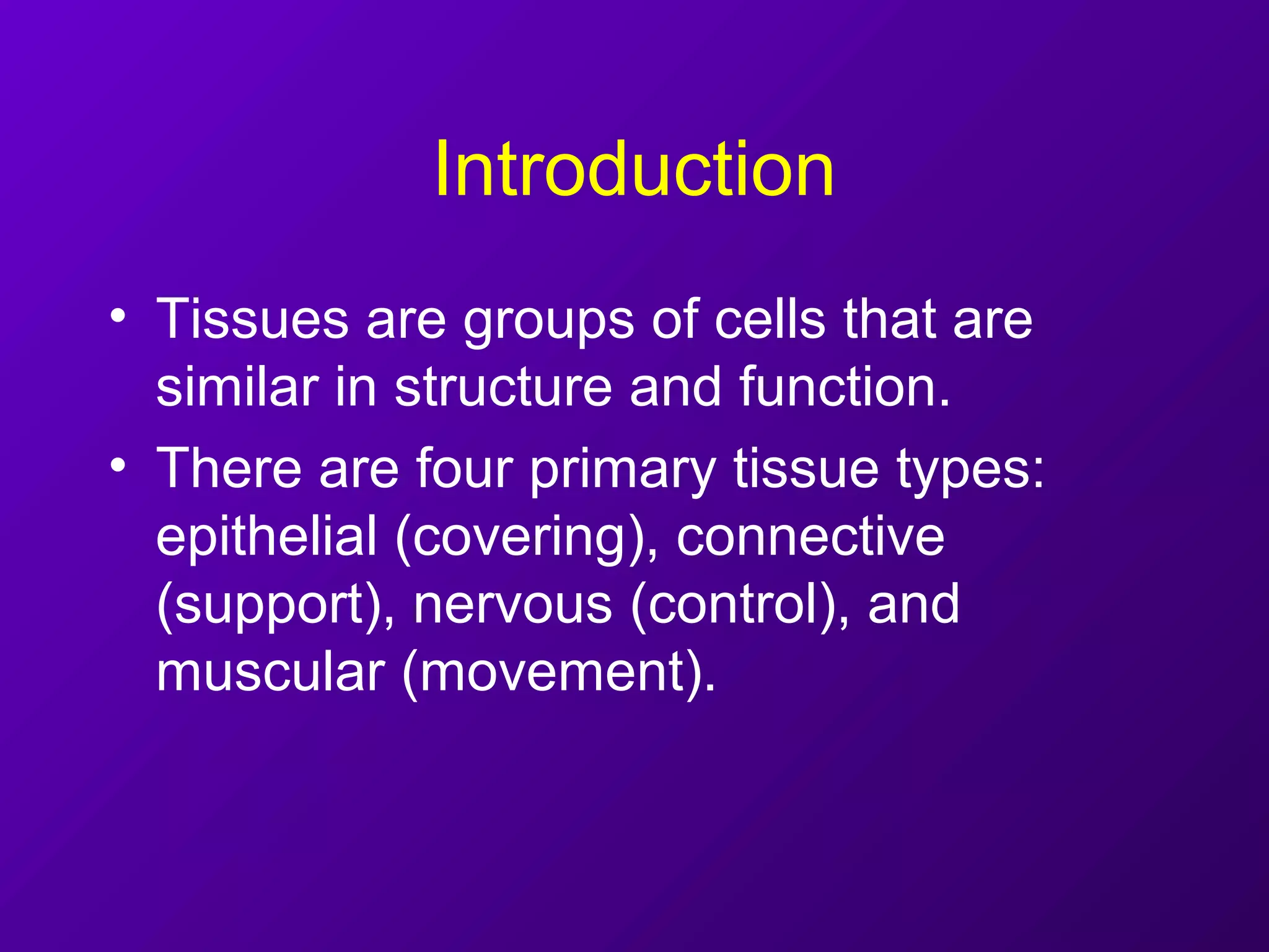 Epithelial tissue (2011) | PPT