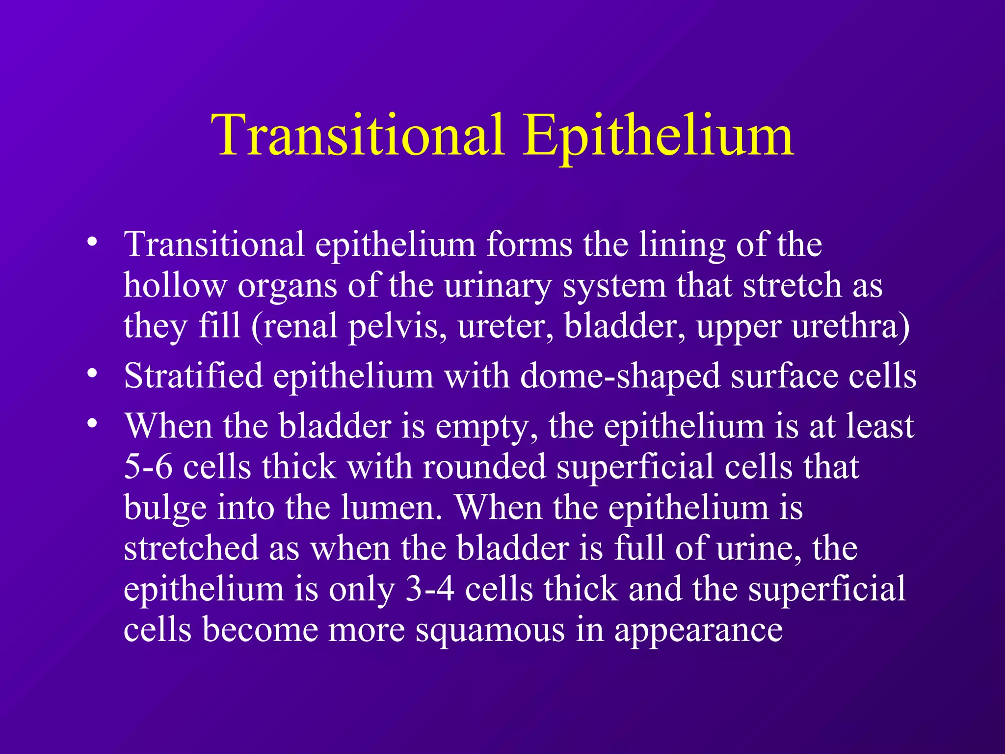 Epithelial tissue (2011) | PPT