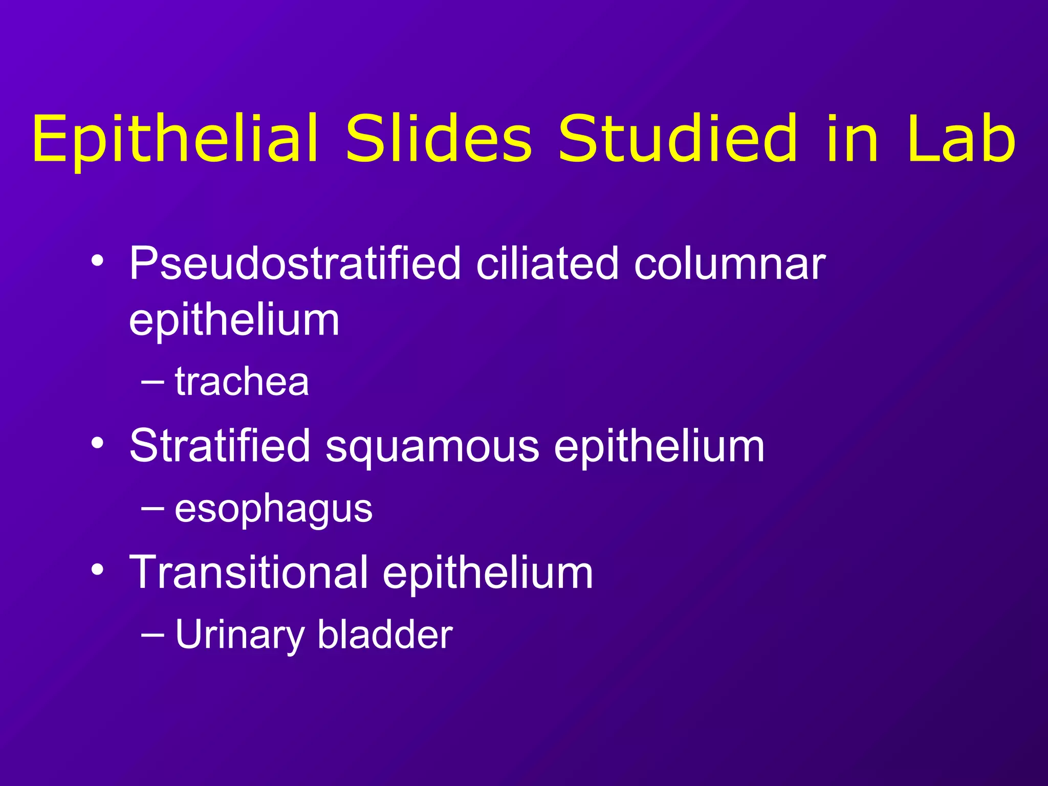 Epithelial tissue (2011) | PPT