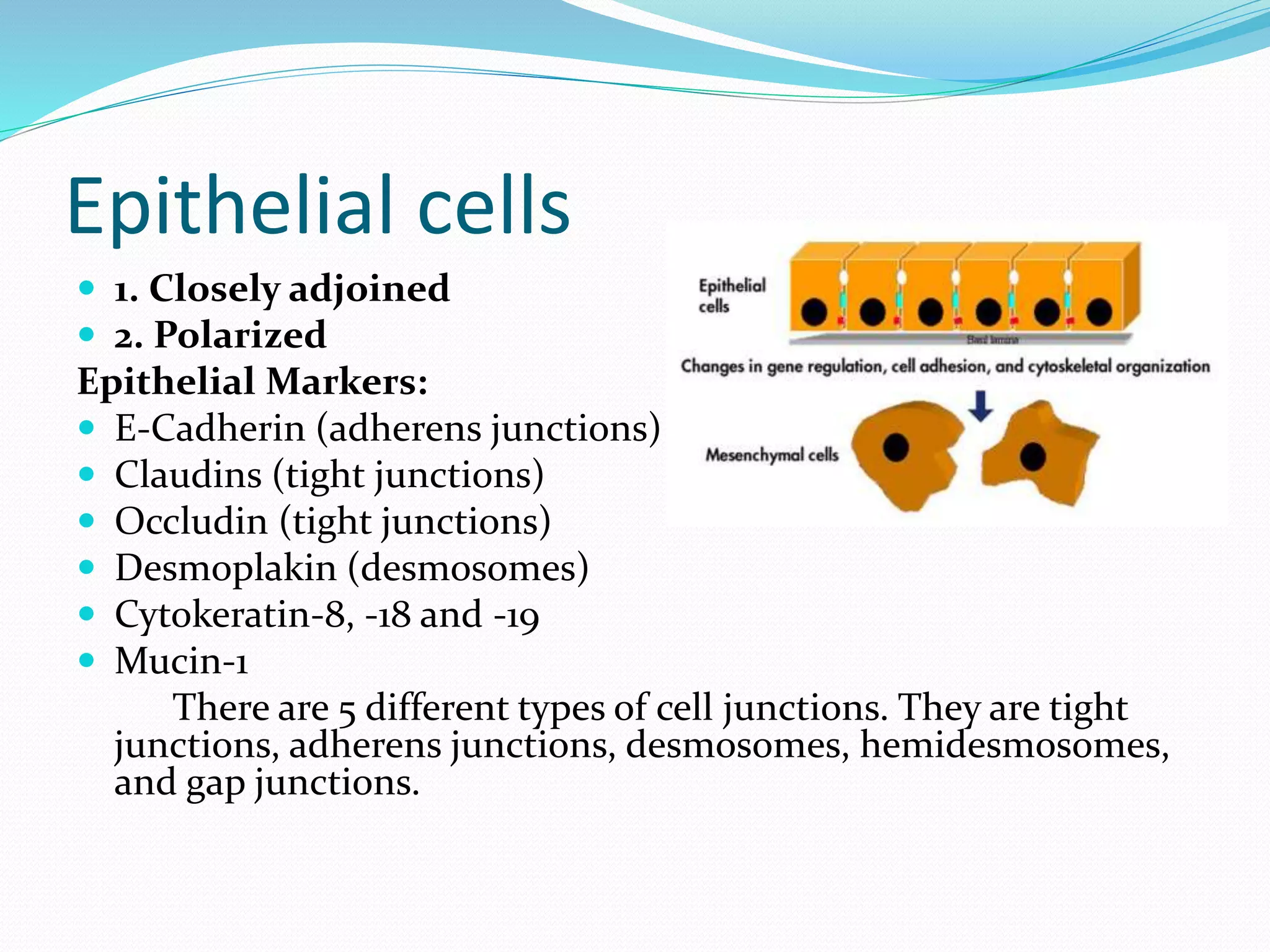 Epithelial and mesenchymal transition in invasion and metastasis | PPTX
