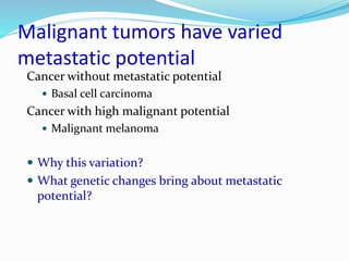 Epithelial and mesenchymal transition in invasion and metastasis | PPTX