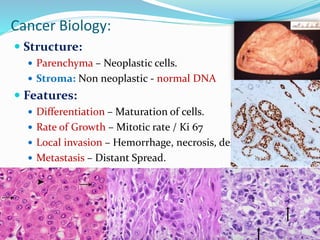 Epithelial and mesenchymal transition in invasion and metastasis | PPTX