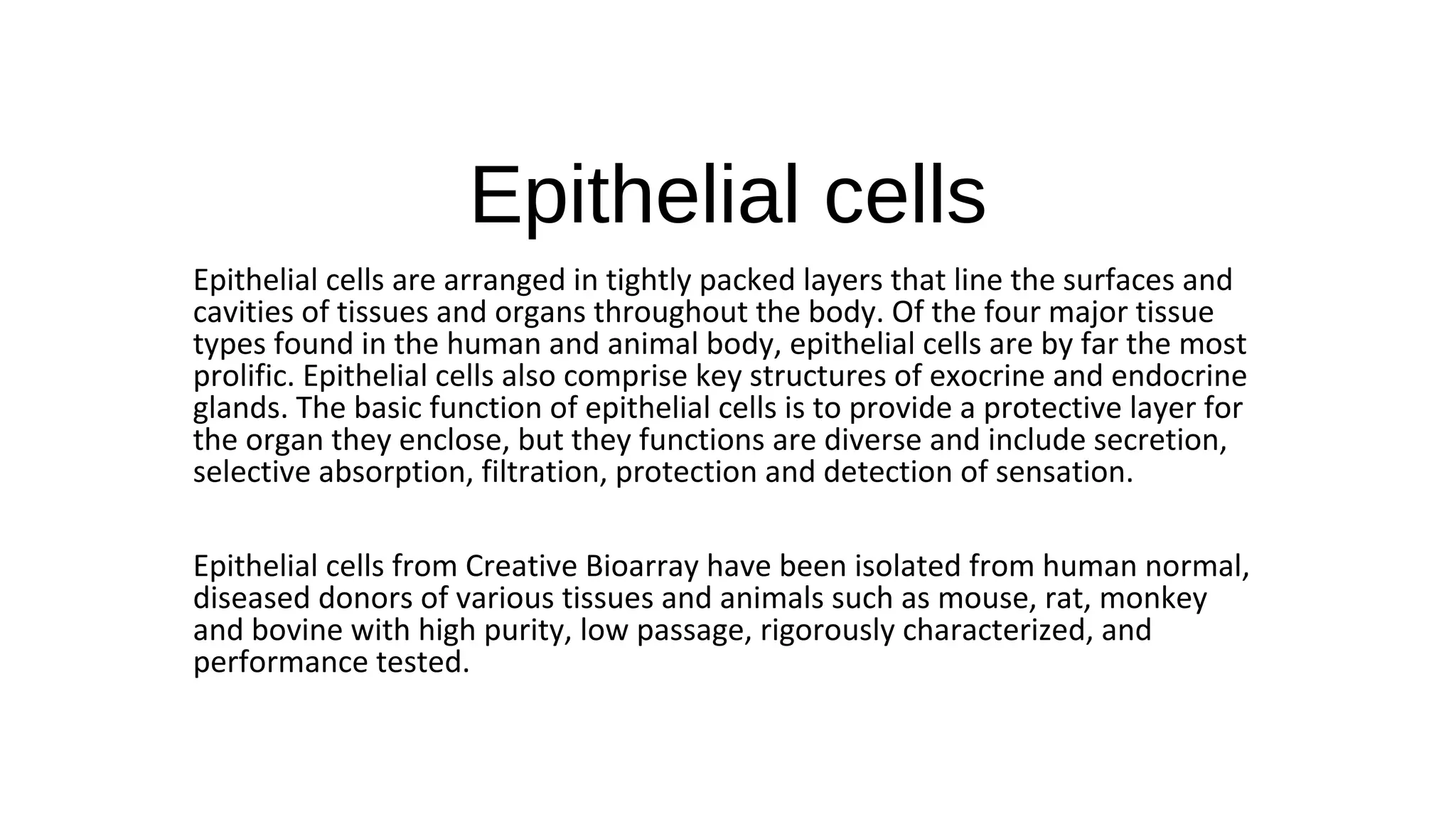 Epithelial cells | PPT