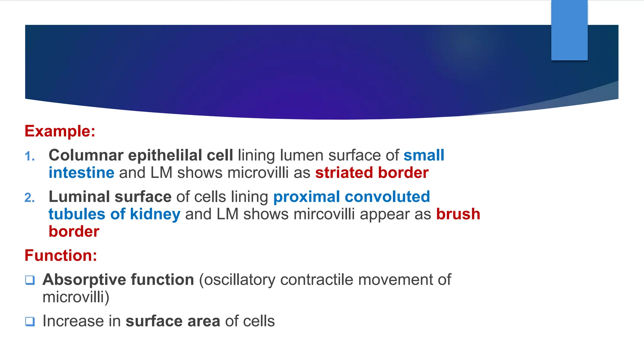 Epithelial Cell Surface Specialization by Dr. Rabia I. Gandapore.pptx
