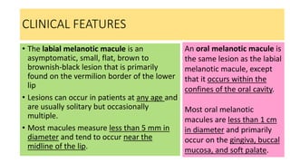 Epithelial Disorders Oral Pathology | PPTX