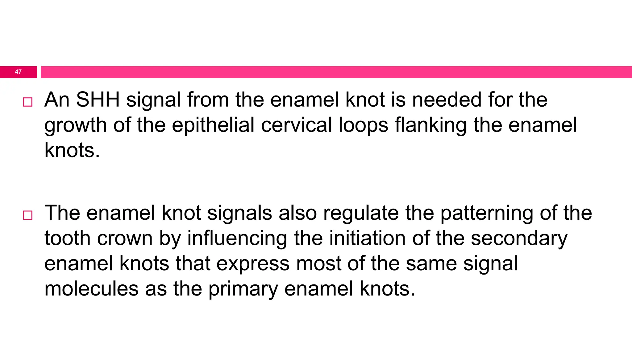 Epithelial – Mesenchymal Interactions in Tooth Development.pptx