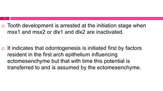 Epithelial – Mesenchymal Interactions in Tooth Development.pptx