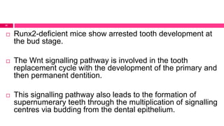 Epithelial – Mesenchymal Interactions in Tooth Development.pptx