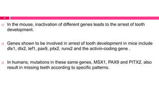 Epithelial – Mesenchymal Interactions in Tooth Development.pptx