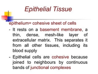 Epithelial, Nervous & Muscular tissue.ppt