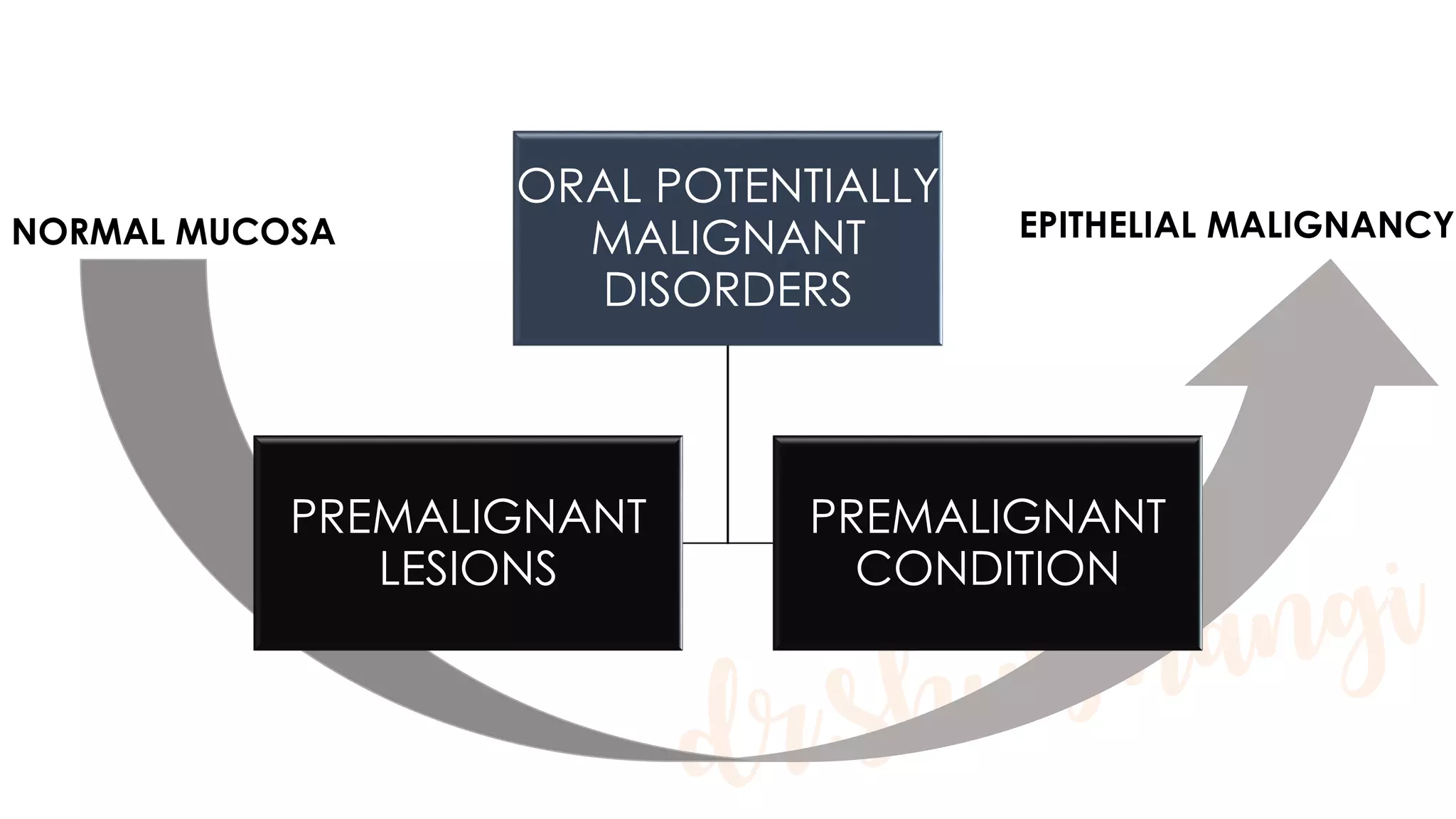 Epithelial Pathology | PDF