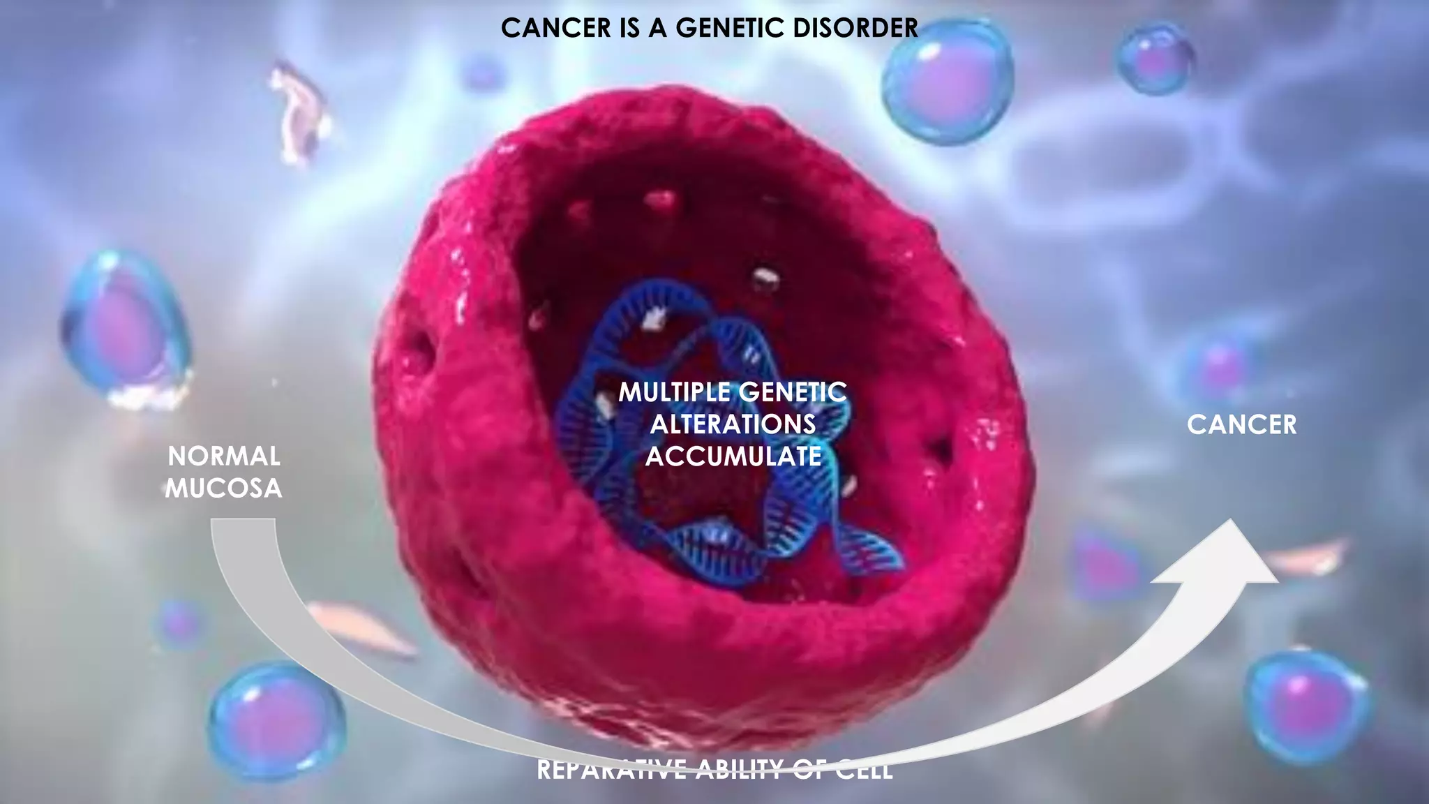 Epithelial Pathology | PDF