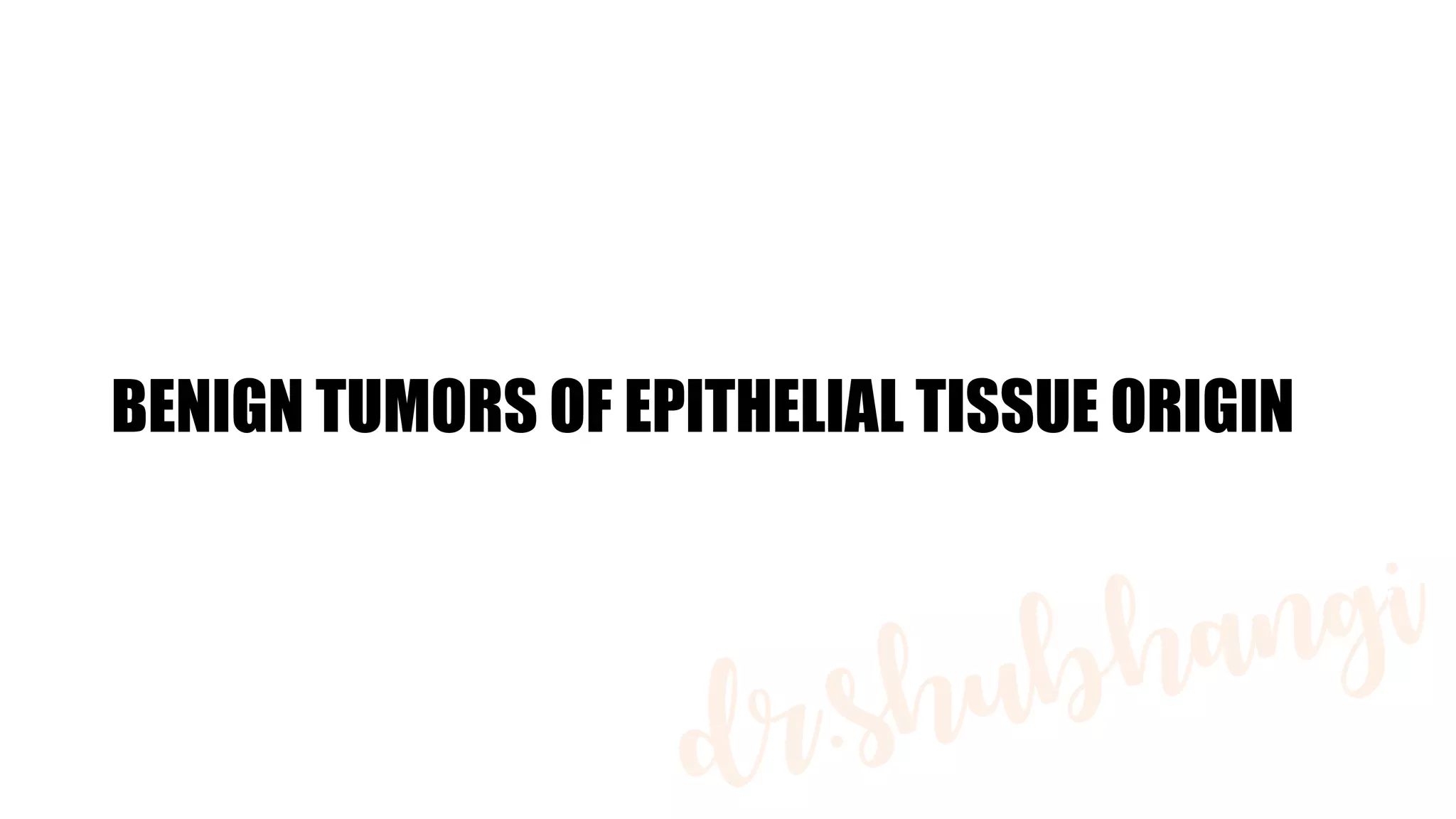 Epithelial Pathology | PDF