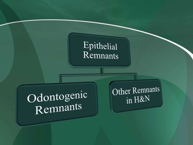 Epithelial Remnants Derivatives | PDF